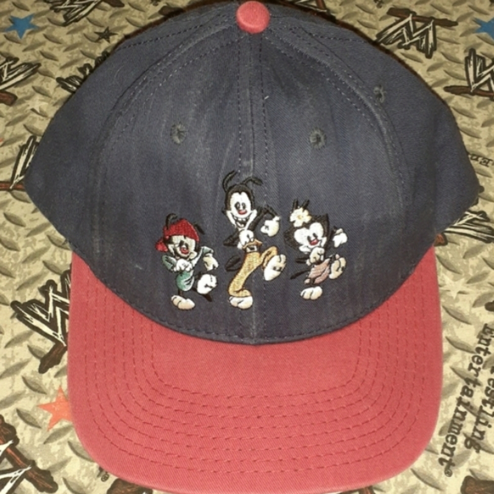 1993 Animaniacs Vintage 90s Snapback Hat Cartoon - Gem
